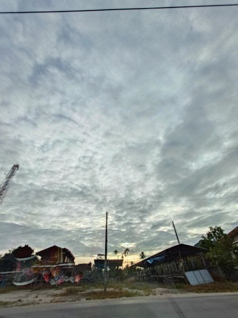 อวัยวะภายในร่างกาย Interactive Worksheet ใบงานอนุบาล อนุบาล ร่างกาย