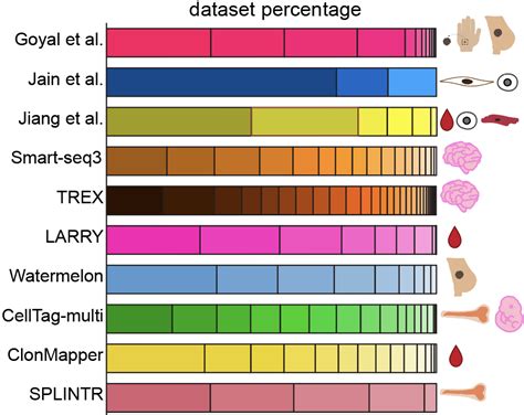 dataset information — singletcode 1 2 documentation