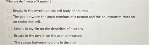 Solved What Are The Nodes Of Ranvier Breaks In The Myelin