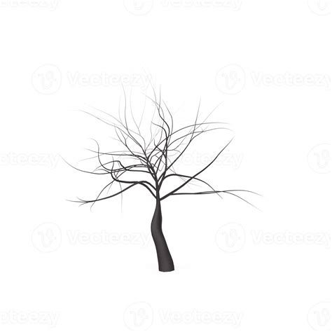 Tree Roots Isolated On Transparent PNG Tree Roots Isolated On Transparent PNG