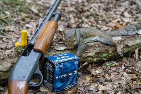 What Gauge Shotgun For Squirrel Hunting At Jeramy Phillip Blog