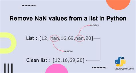 4 Simple Ways To Remove Nan From List In Python Tutor Python