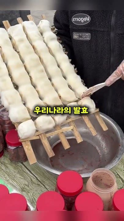 중국 곰팡이 털 음식 Youtube