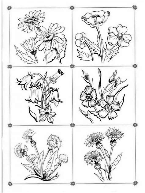 Растения задания для детей