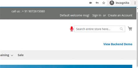 Magento 2 Voice Search Bridge Store