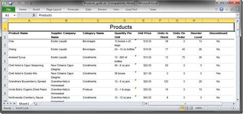 Code On Time Data Controllers Actions Report Excel