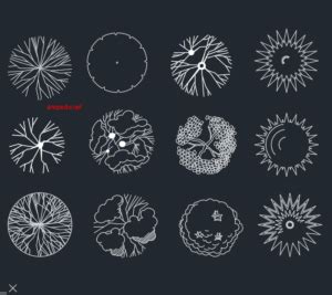 Tree Plans Dwg Arkipedia EN