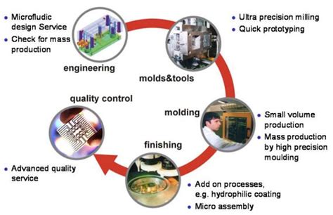 Polymer Process Process Solidification Processes In Polymers Jrqvrn