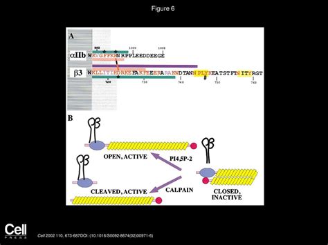 Volume 110 Issue 6 Pages September 2002 Ppt Download