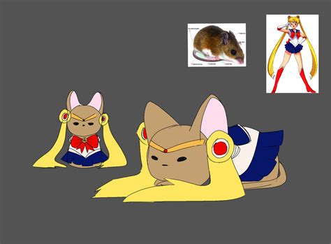 Sailor Moon Mouse By Diamondpup On Deviantart