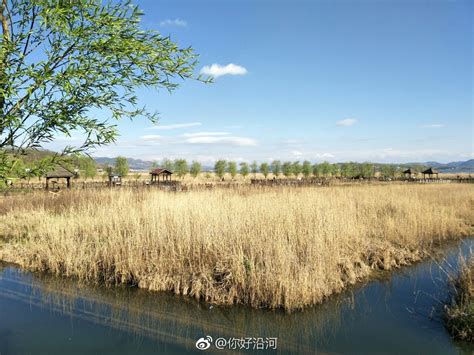 草海贵州毕节威宁