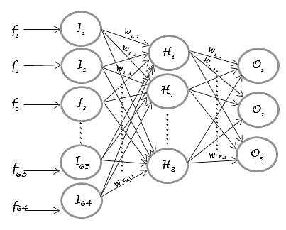 Feed Forward Model Of Neural Network Download Scientific Diagram
