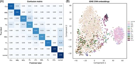 Performance Of The Classification Process The Cnn Was Trained On An Download Scientific