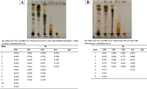 Tlc Profile Of 70 Ethanolic Crude Extract And Fractions Of T