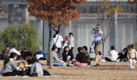 포근한 늦가을 파이낸셜뉴스