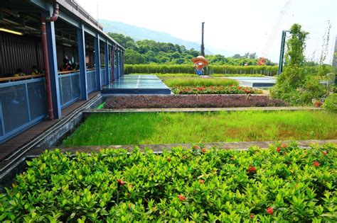 環保校園小組外出考察活動 O Park 有機資源回收中心 四年級 長沙灣天主教小學