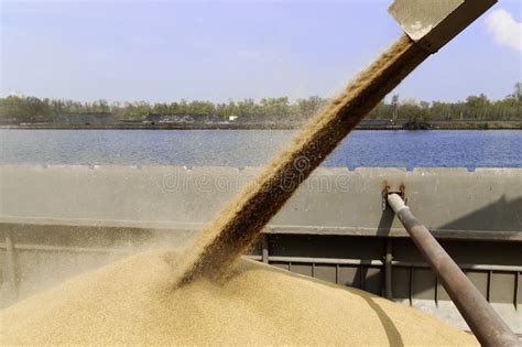Barge Loading Stock Photo Image Of Dock Barge Harbor