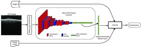 A Pictorial Description Of The Training Algorithm Used To Train The