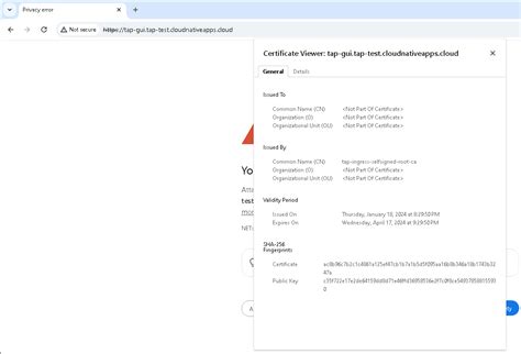 Tap Using Hashicorp Vault As Ingress Tls Certificate Issuer 02 Cloud Native Apps