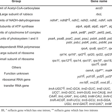 Simple Sequence Repeat Ssr In G Thurberi Chloroplast Genome Download Table