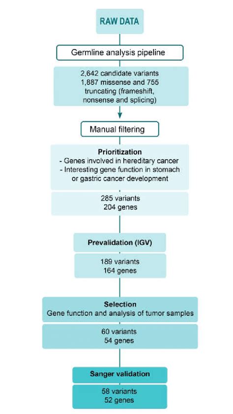 Scheme Of The Germline Data Analysis After Whole Exome Sequencing Download Scientific Diagram