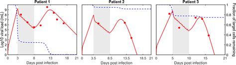 Best Fit Of The Viral Dynamic Model Solid Curves To The Viral Load Download Scientific