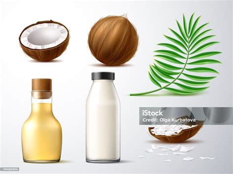 현실적인 코코넛 제품 3d 이국적인 식물 녹색 야자 잎 유리 병에 칩 우유 및 버터 빈 투명 포장에 절반 및 전체 코코넛 칩 우유 및 버터 유제품 또는 화장품 전체 벡터