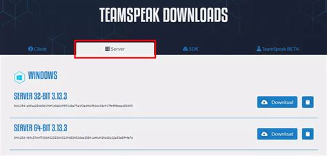 How To Set Up A TeamSpeak Server On Windows In Steps Cloudzy