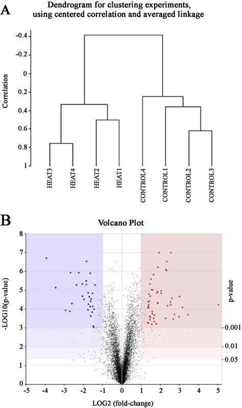 General Microarray Analysis A Dendrogram For Clustering Experiments Download Scientific
