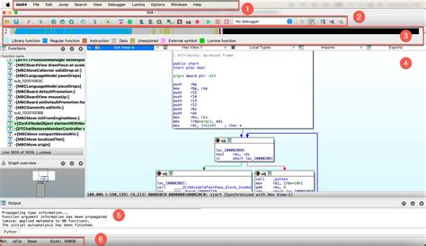 Basic Usage Hex Rays Docs