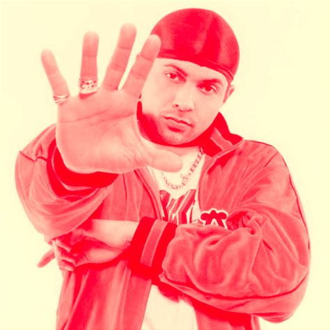 Sean Paul Heavy Hits