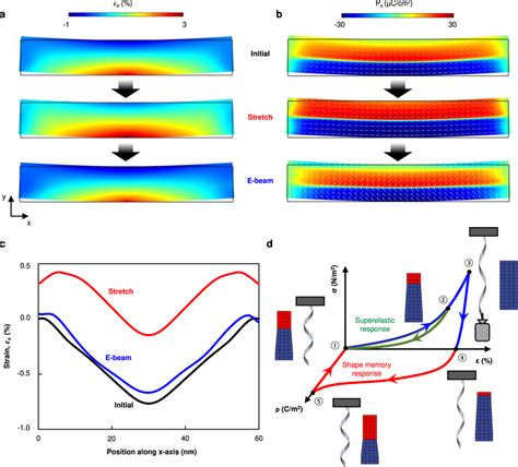 Phase Field Model Simulation On The Effect Of Mechanical Stress And