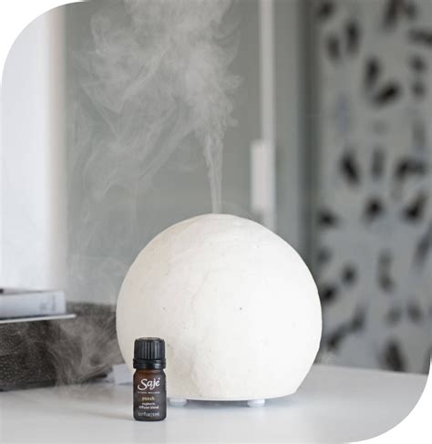 Vitruvi Stone Diffuser Artofit