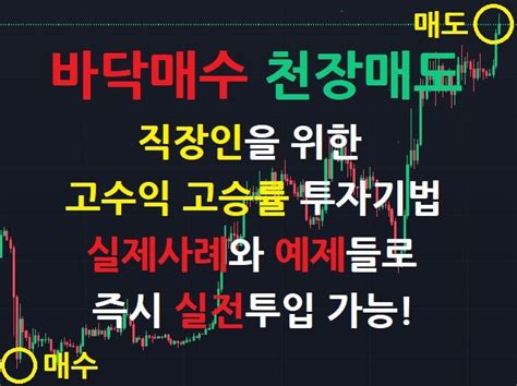 바닥매수 천장매도 직장인에게 딱 맞는 코인 매매기법 크몽