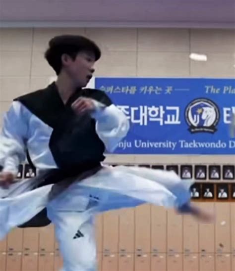 Kukkiwon Taekwondo Demonstration Team Highlights Tiktok