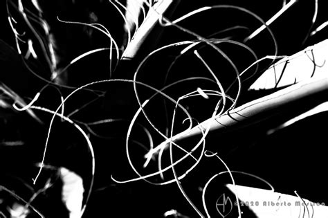 Usa Ca Geological Abstract Alberto Mesirca Abstract Fine Art