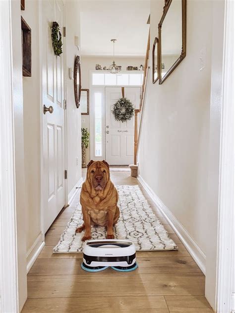 Jetbot Mop With Dual Spinning Technology In White Vacuums Vr20t6001mwaa Samsung Us Smart