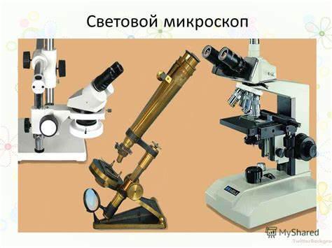 Школьный Световой Микроскоп Картинка – Telegraph