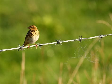 CreamyGoodness Co Uk