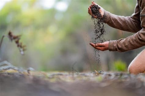 Premium Photo University Babe Conducting Research On Forest Health Farmer Collecting Soil