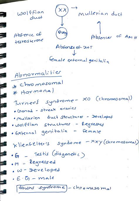 SOLUTION Physiology Of Male And Female Reproductive System Detailed Explanation About Menstural