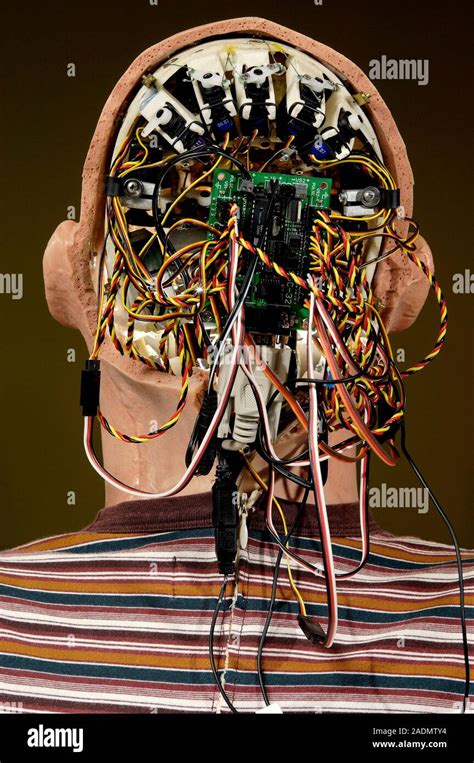 Humanoid Robot Head View Of Circuits And Wiring Inside The Head Of Joey Chaos A Humanoid