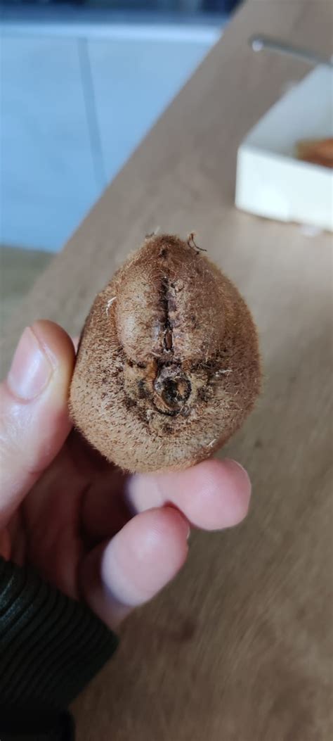 Anyone Knows Which Type Of Sex Kiwi Prefer Vaginal Or Anal R Fruitbait