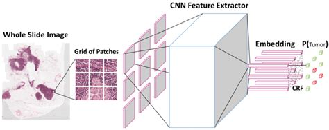 The Architecture Of Ncrf The Figure Corresponds To Figure 1 In 151