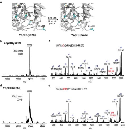 Figure S2 Identification Of The Noncatalytic Cys259 As The Most