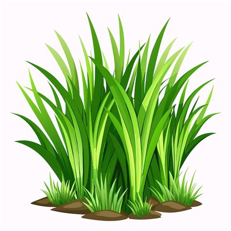 Premium Vector Grass 2d Vector Illustration
