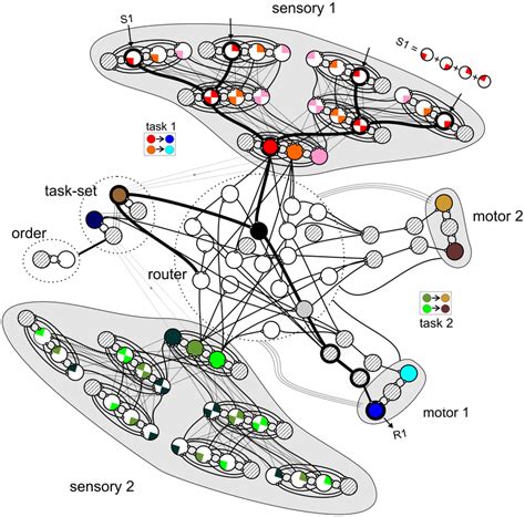 network architecture schematic of the spiking neuron network model download scientific