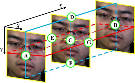 The Six Points In The Lbp Sip 99 Download Scientific Diagram
