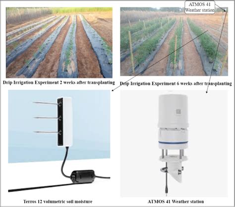 Layout Of Drip Irrigation Experiment With Monitoring Sensors