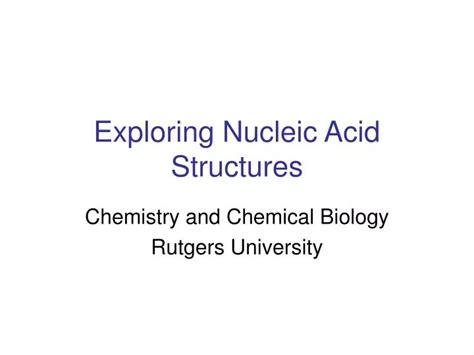 PPT Exploring Nucleic Acid Structures PowerPoint Presentation Free Download ID 2997632
